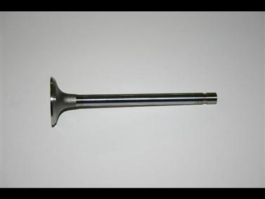 S.B. International e-Catalog