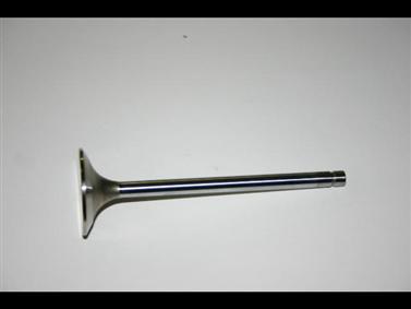 S.B. International e-Catalog